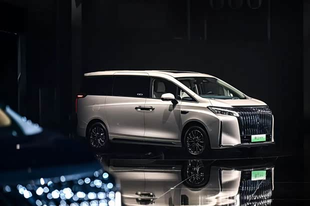 【图】开创高端MPV市场新局面 魏牌高山MPV北京寰宇标 详询： _汽车之家